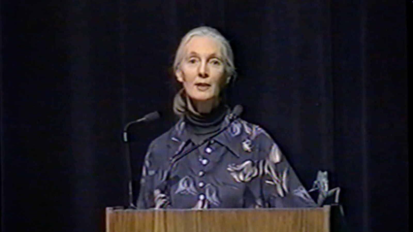 Remembering Jane Goodall: In Her Own Words