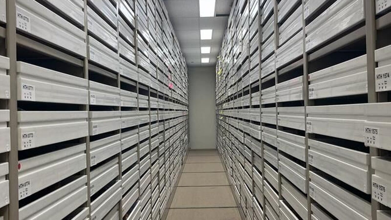 Hamann-Todd Biography Project Recovers Forgotten Stories | January 09 ...