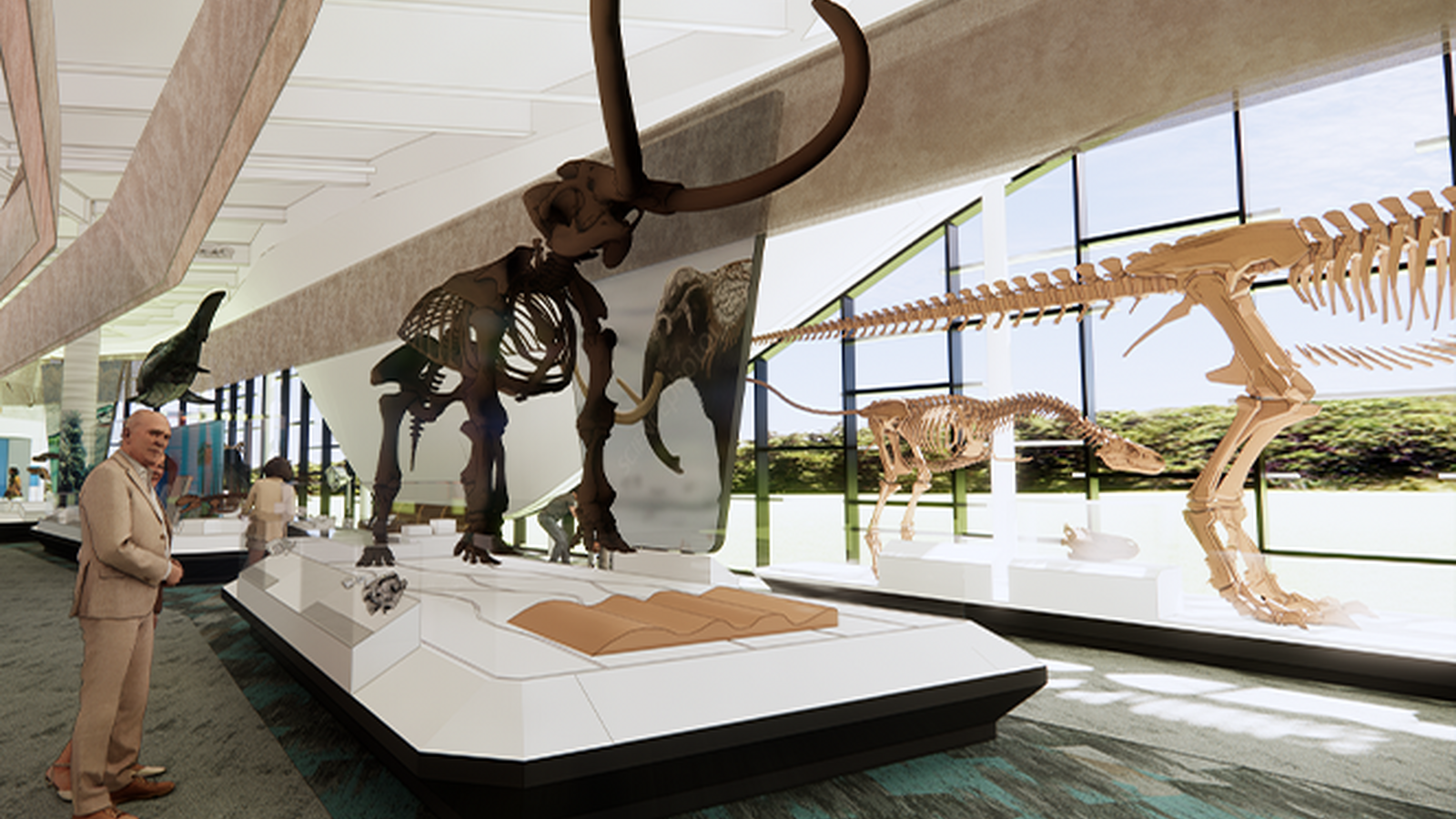 Exploring Our Past, Envisioning Our Future: New Curator Dr. Emma ...