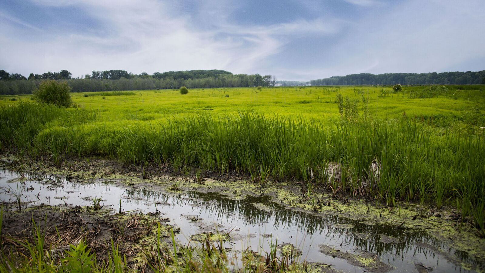 Your Earth Day Itinerary