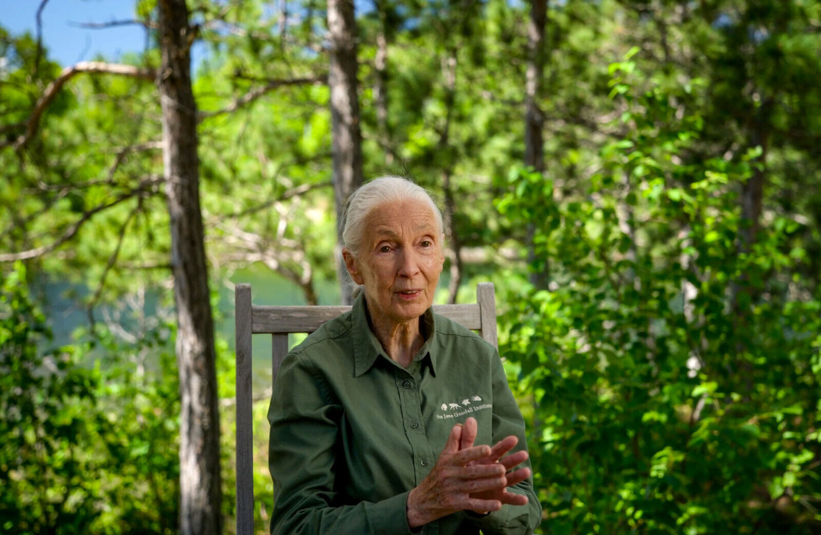 Jane Goodall - Reasons for Hope | Oct 5 — Nov 14, 2025 | Cleveland ...