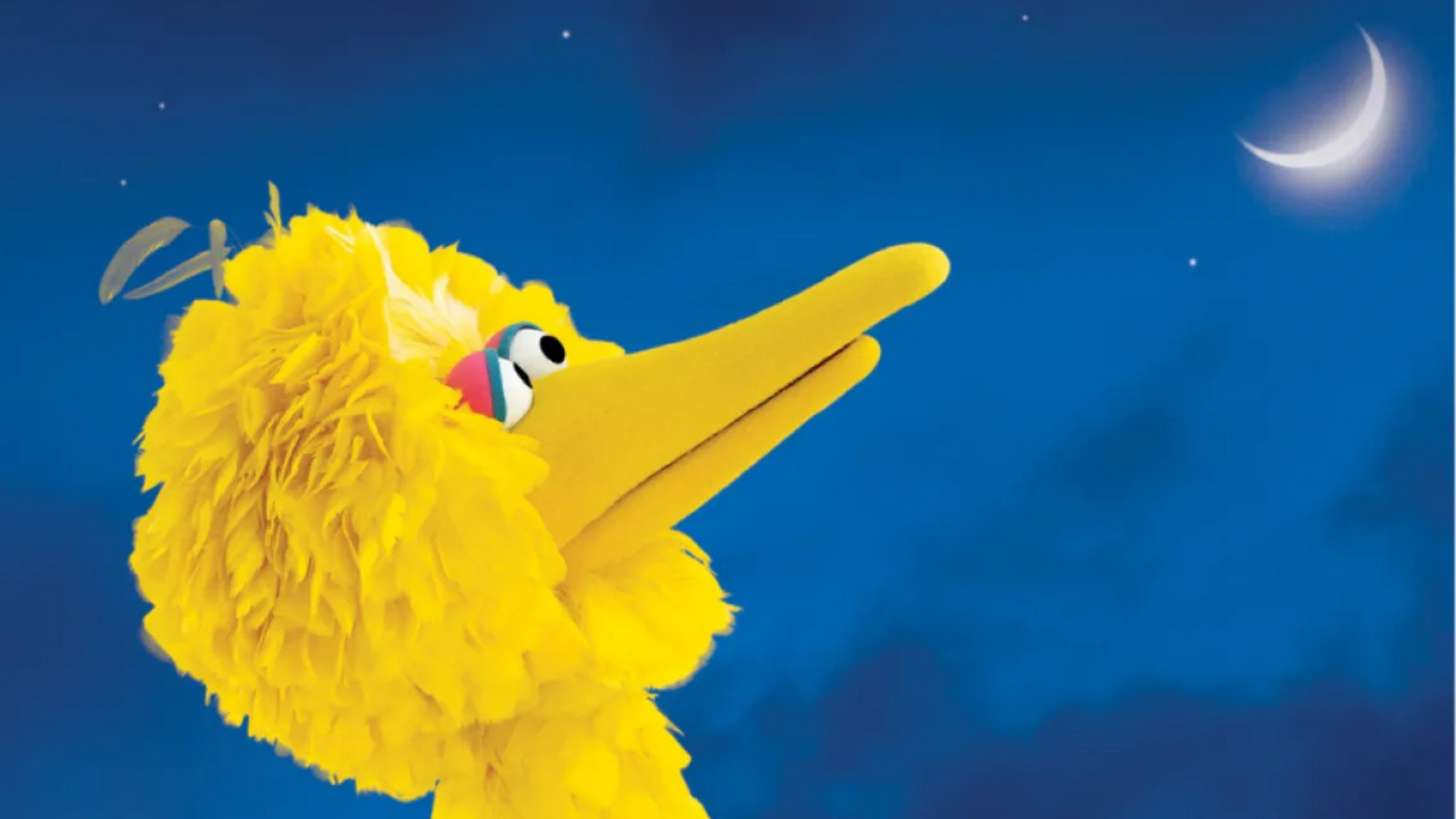Planetarium Show: One World, One Sky (Big Bird's Adventure) | Dec 17 ...