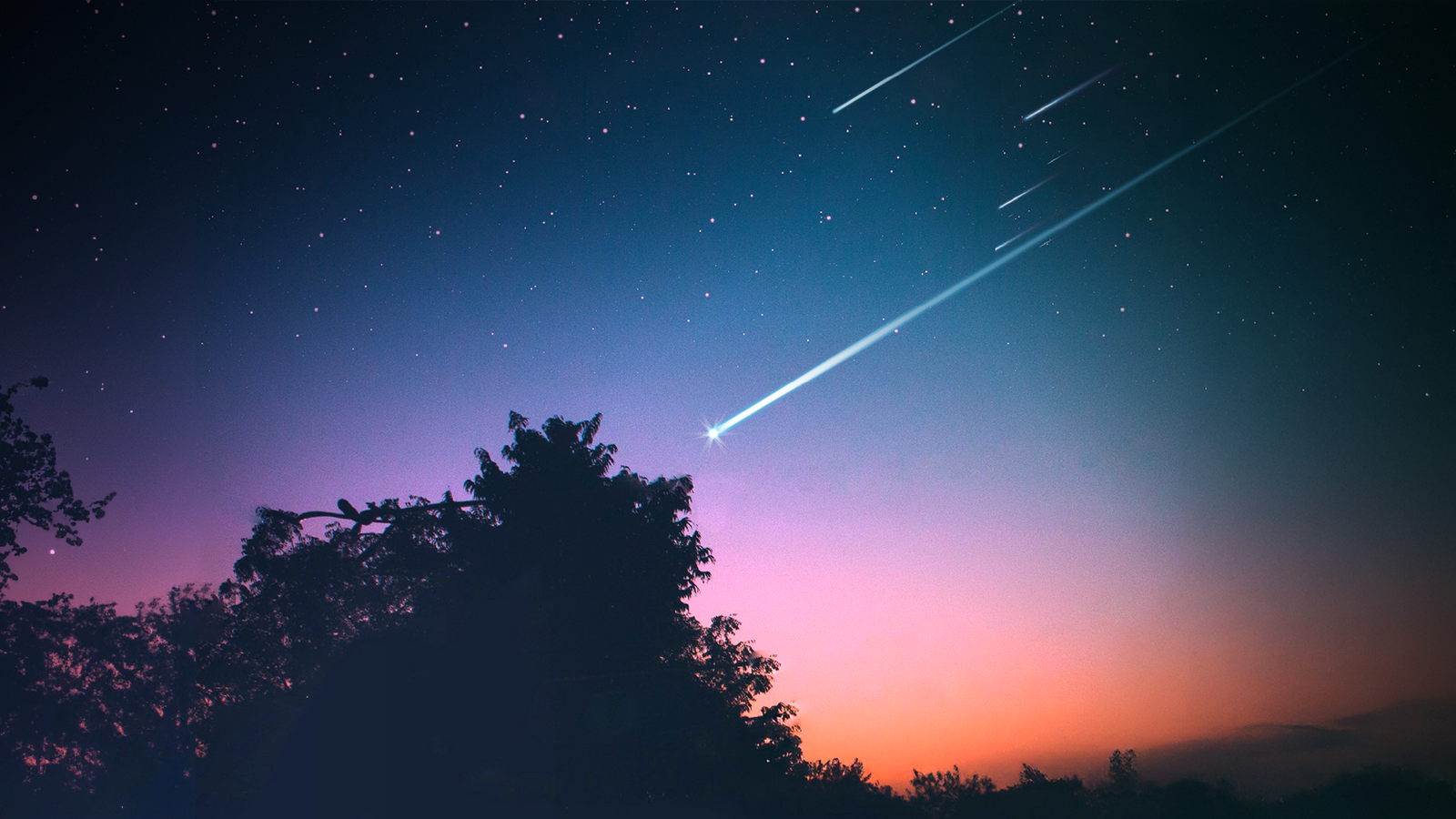 Children's Planetarium Show: The Falling Stars | Sep 23 — Dec 20, 2025 ...