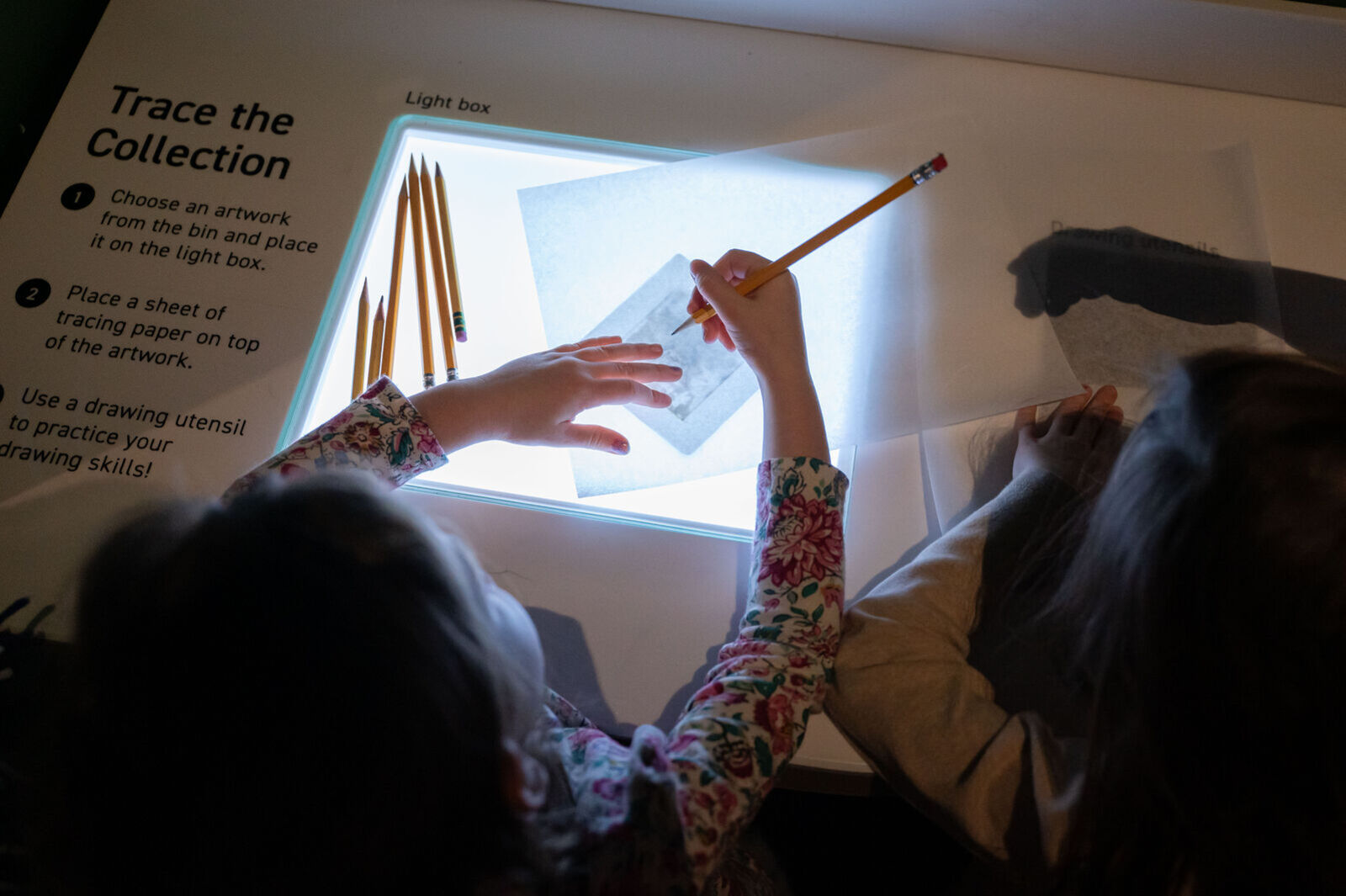 Ames Family Curiosity Center | Cleveland Museum of Natural History