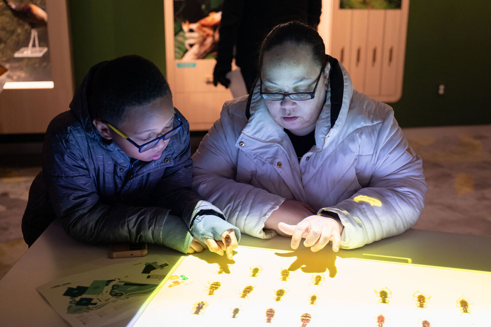 Ames Family Curiosity Center | Cleveland Museum of Natural History