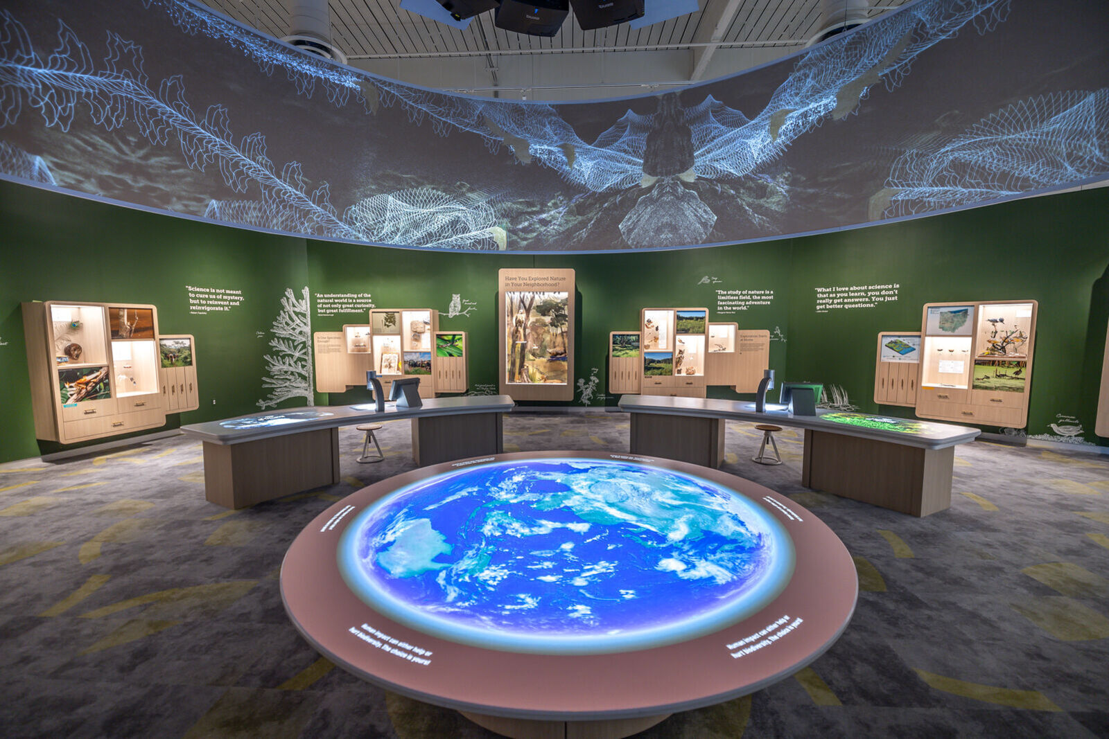 Ames Family Curiosity Center | Cleveland Museum of Natural History