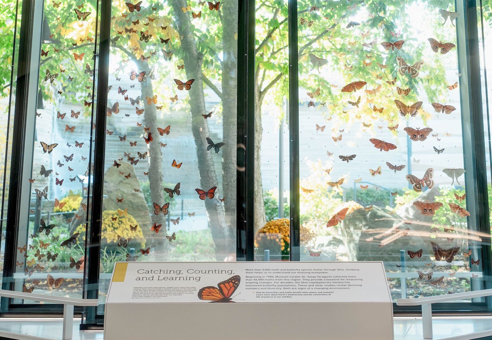 Visitor Hall | Cleveland Museum of Natural History