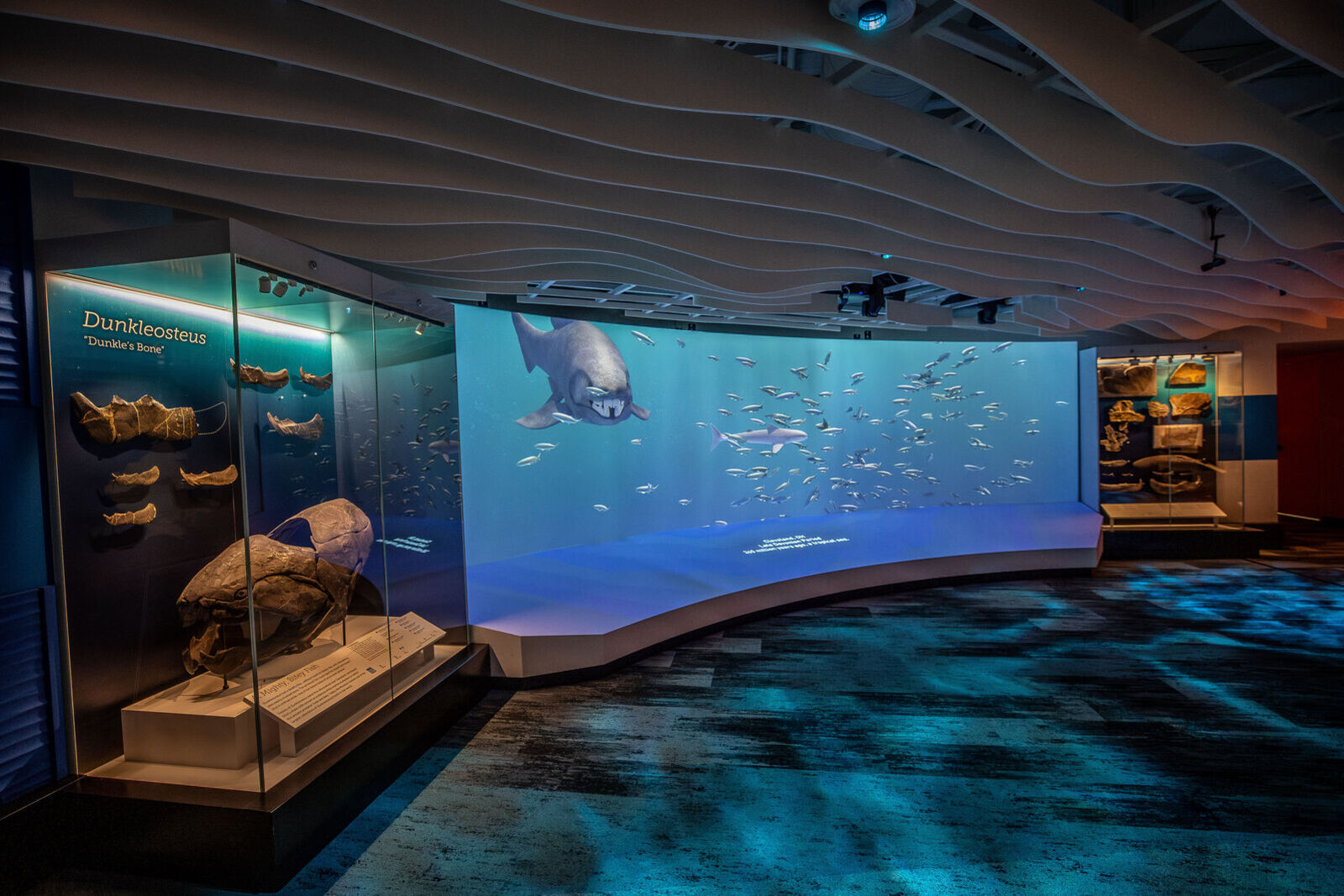 Evolving Life Wing | Cleveland Museum of Natural History