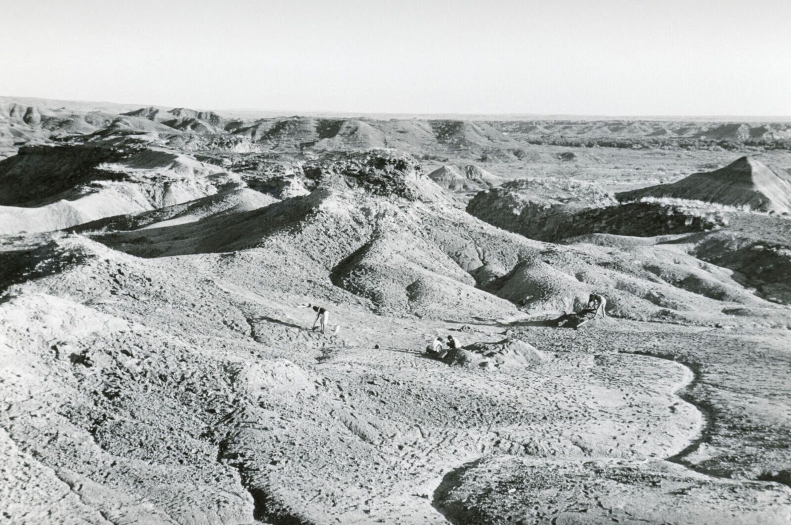 An Iconic Discovery: Celebrating the Story of Lucy