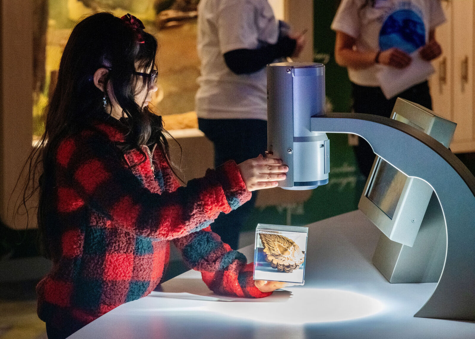 Ames Family Curiosity Center | Cleveland Museum of Natural History