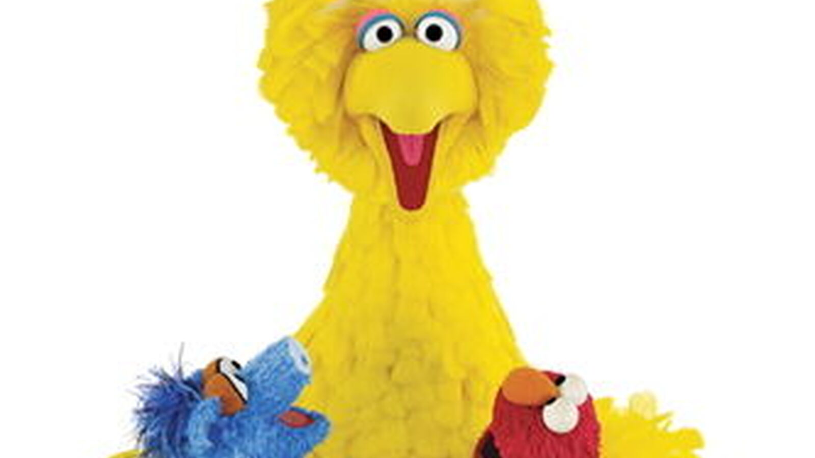 One World, One Sky | Cleveland Museum of Natural History